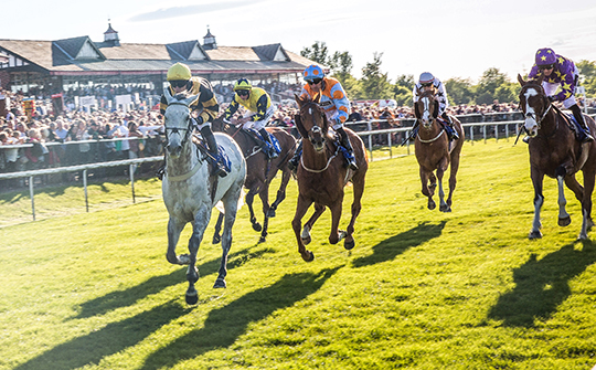 Race Days – Pontefract Races