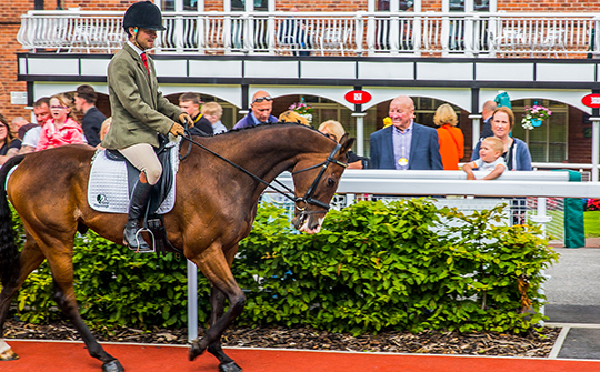 Race Days – Pontefract Races