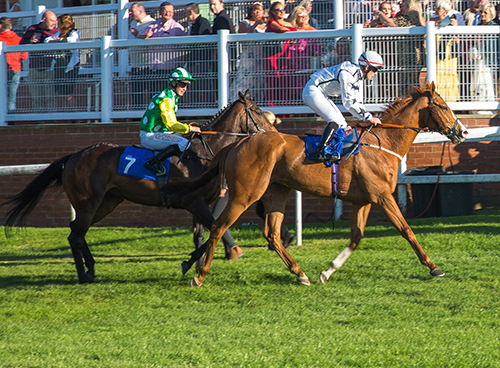 A Day at the Races – Pontefract Races